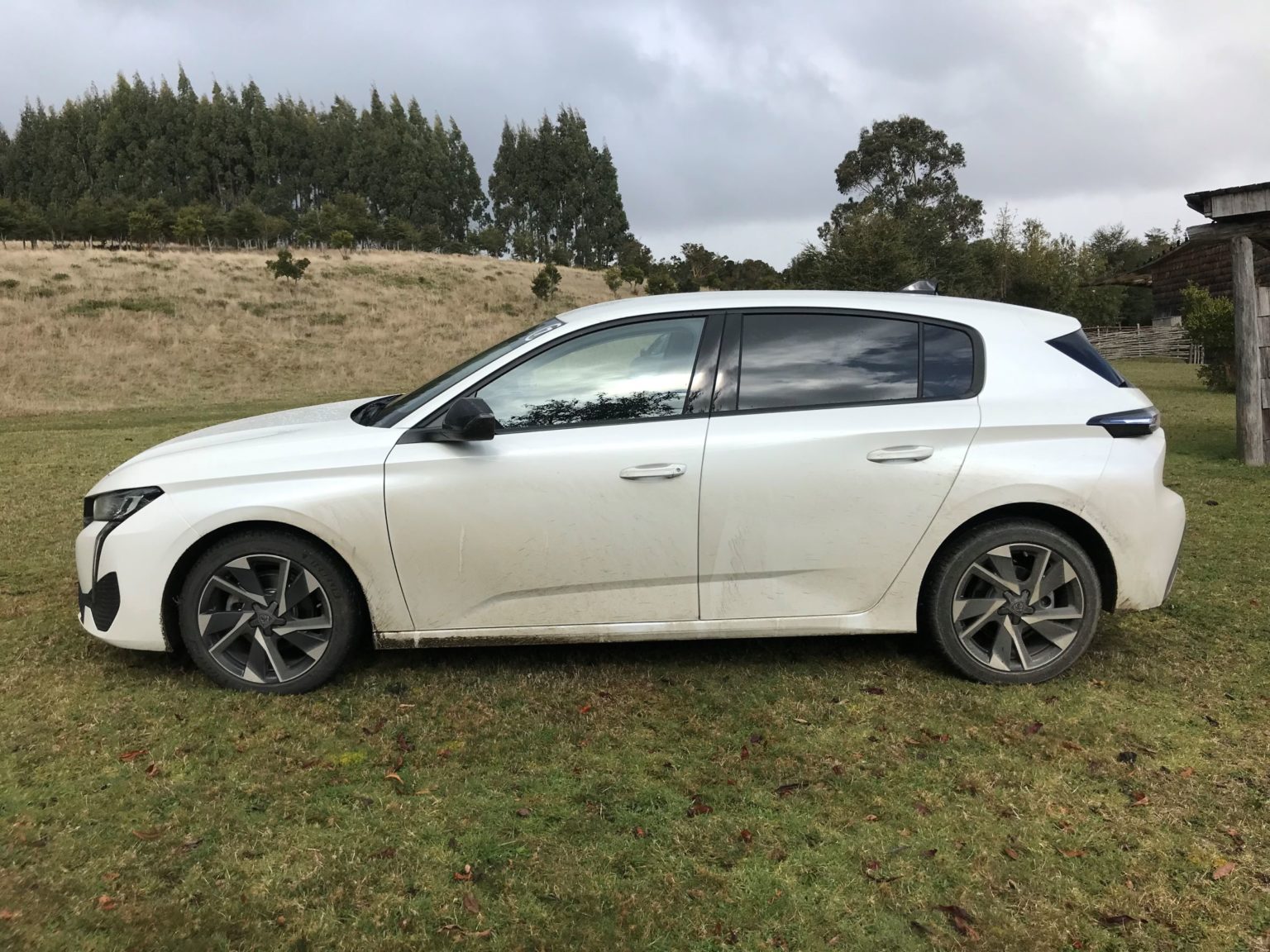 Nuevo Peugeot 308 2023: El iniciador de una nueva era en confort, diseño y tecnologia ...